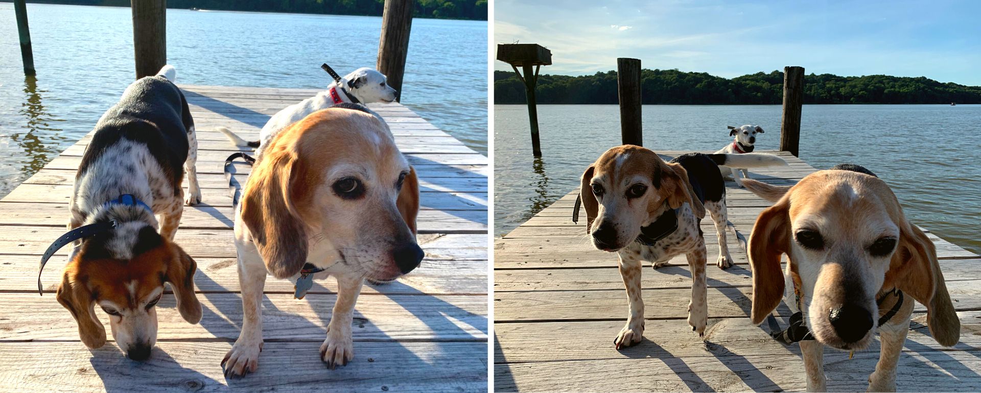 About Us - Tobin Communications